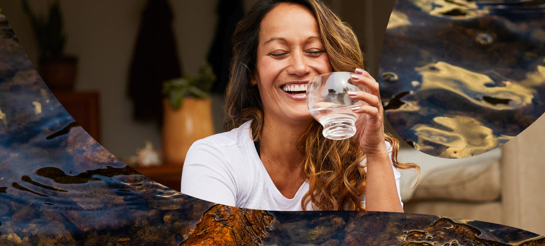 Transformative Power of Cobalt Blue Glass Bottle – zazen Alkaline Water